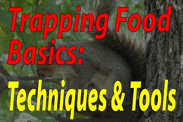 Trapping Food - 5 Techniques & The Tools Needed To Make Them | FYDB